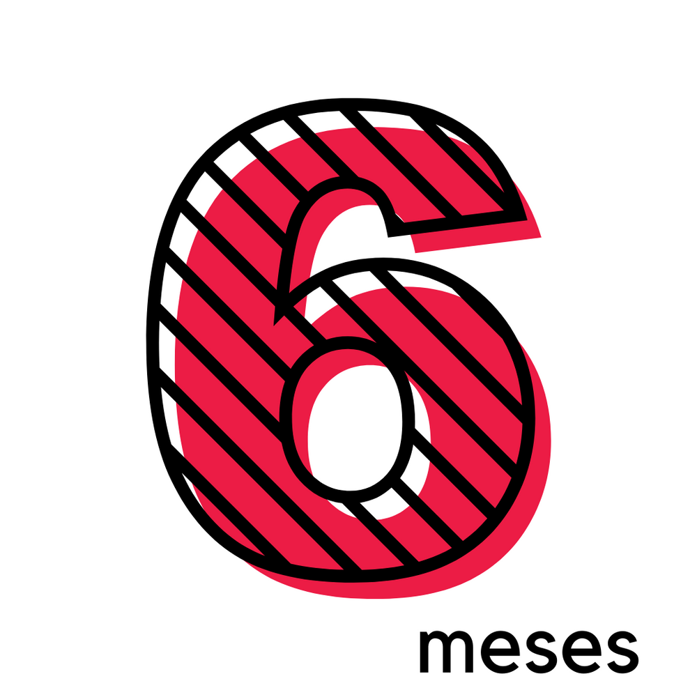 Mini Raxevsky - Moda Premium para niñas y niños